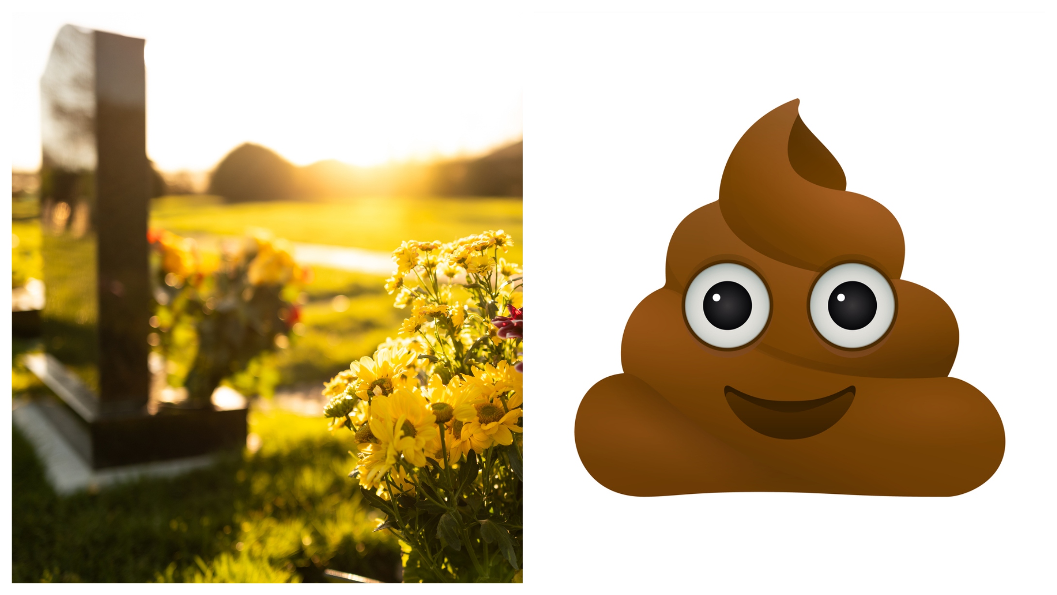 Serial Pooper Takes Aim At Cemetery Headstones