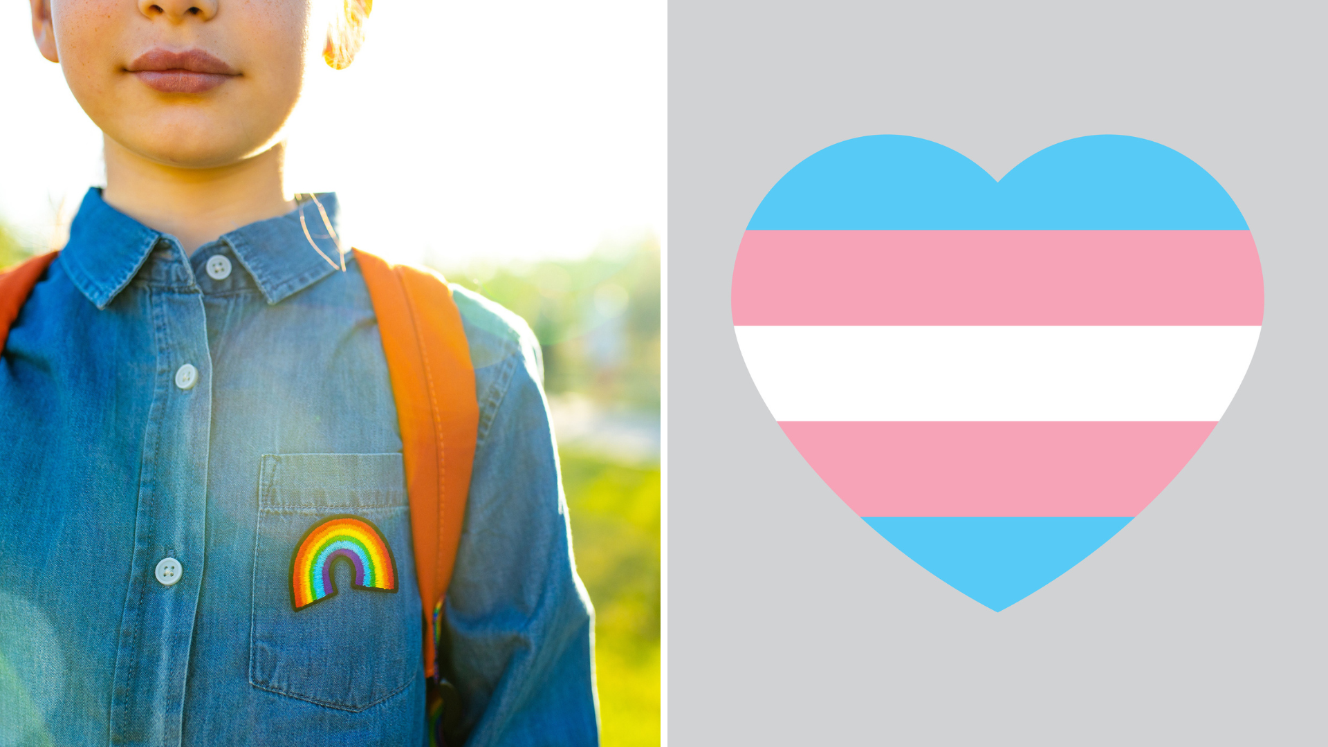 Her Trans Son's Tragic Death Has Led This Kentucky Senator To Beg ...