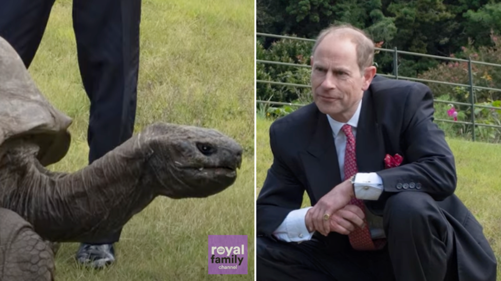 Prince Edward Meets 192-Year-Old Tortoise, Jonathan