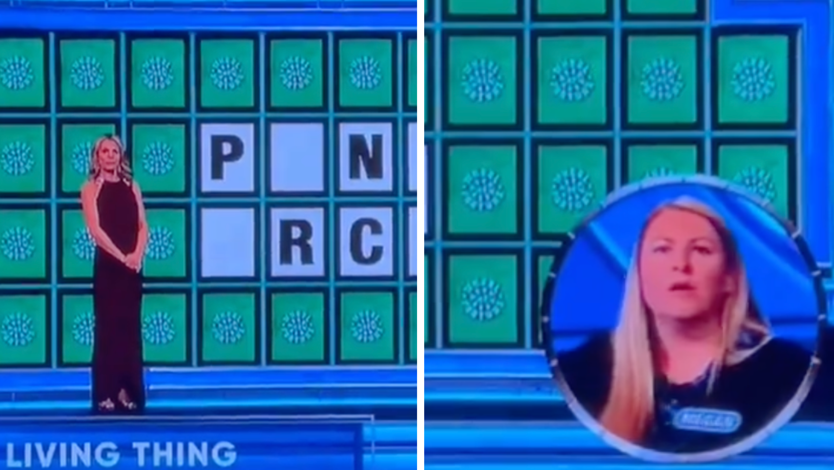Fans Criticize 'Wheel Of Fortune,' Saying Contestant Definitely ...