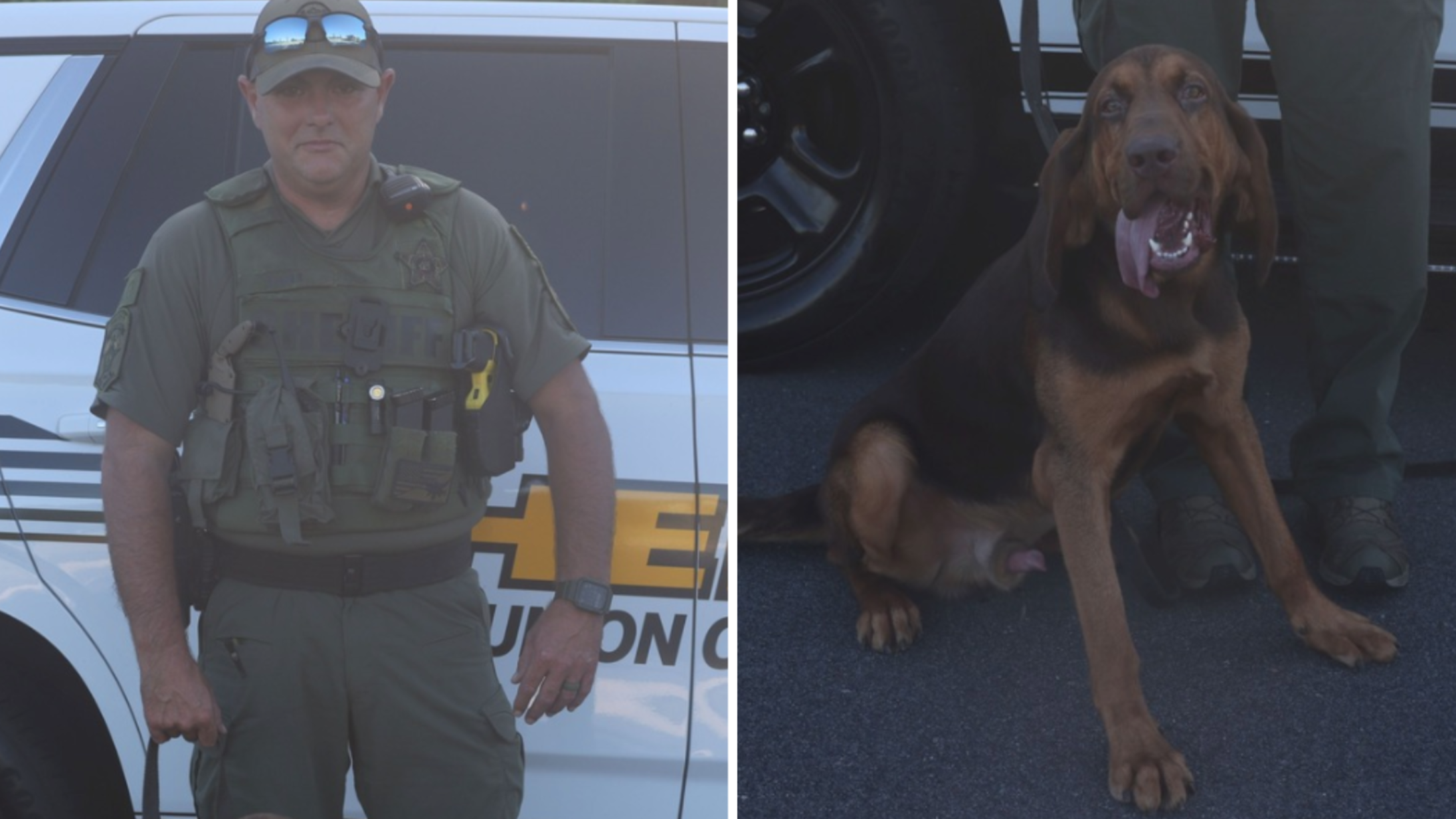 Police Dog Reunites Missing Nonverbal Boy With His Family After He Was ...