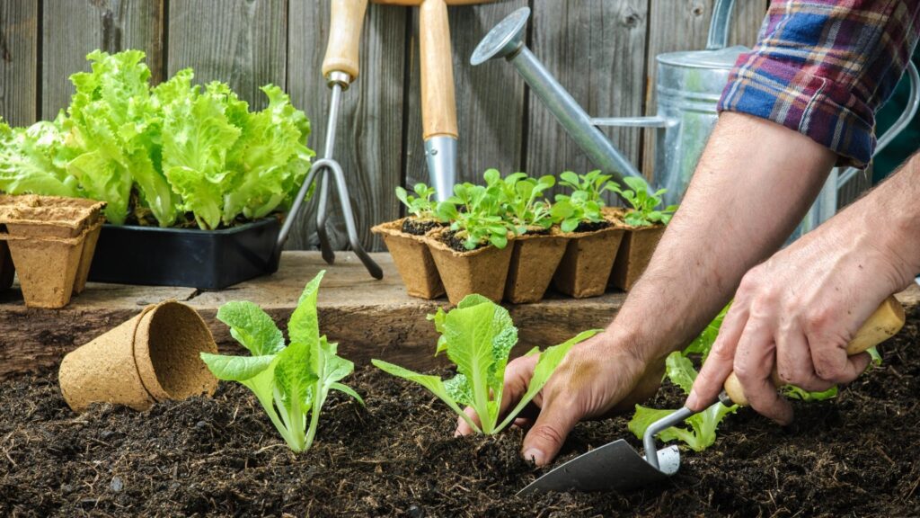 Gardening For Dummies: 12 Tips To Get You Started