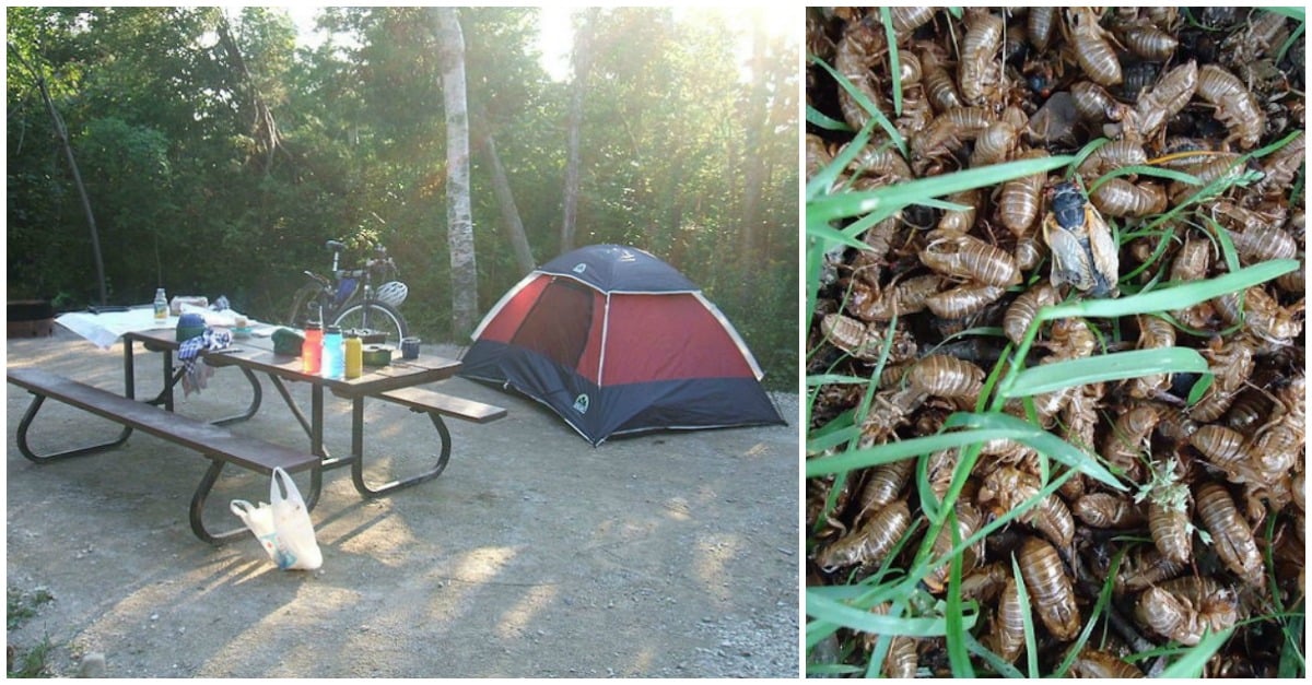 These 10 Camping Nightmares Are No Fun At All