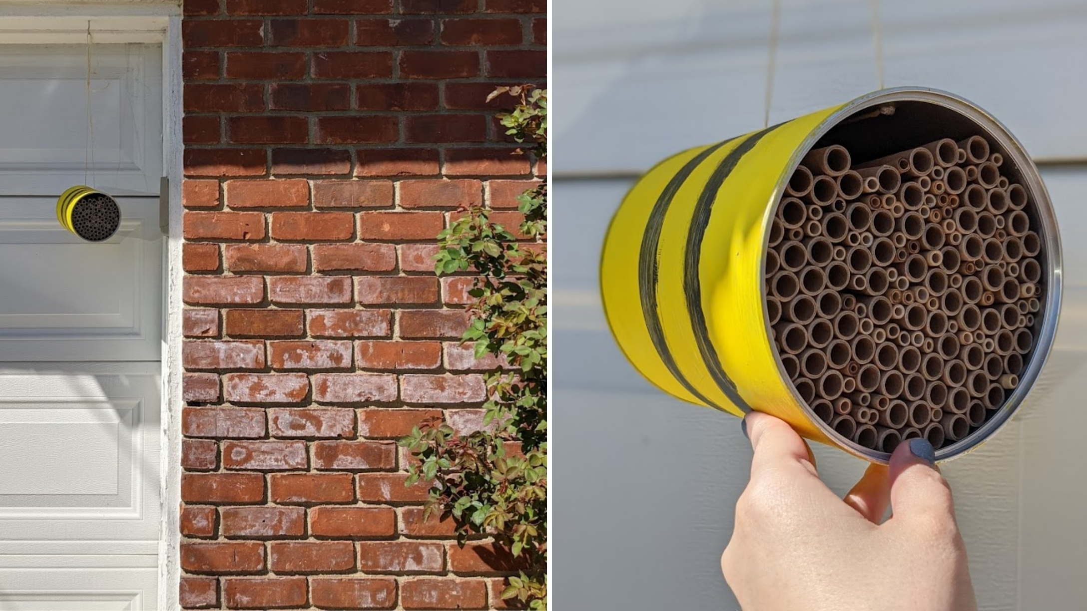 I Made A Mason Bee Habitat To Help The Environment