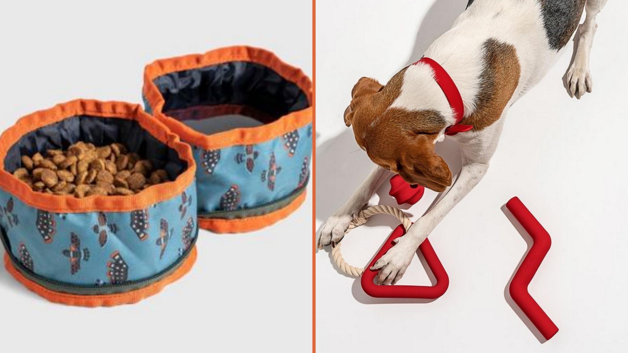 These Eco-Friendly Pet Products Will Lower Your Fur Baby's Carbon Pawprint