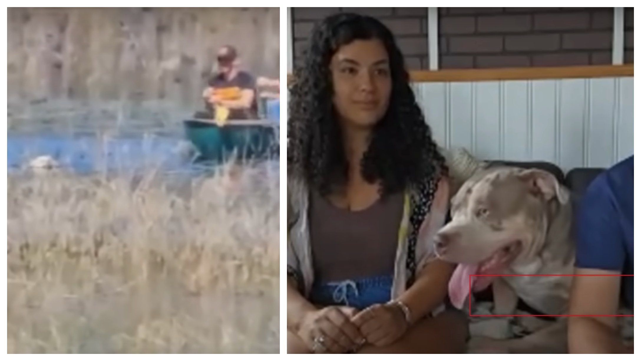 A Heartwarming Rescue As Good Samaritans Save Lost Dog Floating In ...