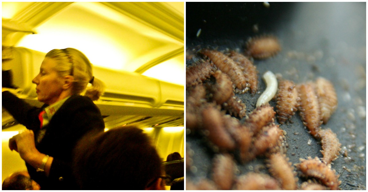 Flight Attendant Horror Stories: 11 Tales That Will Make You Cringe