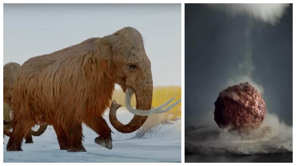 A Meatball Created With Extinct Mammoth DNA