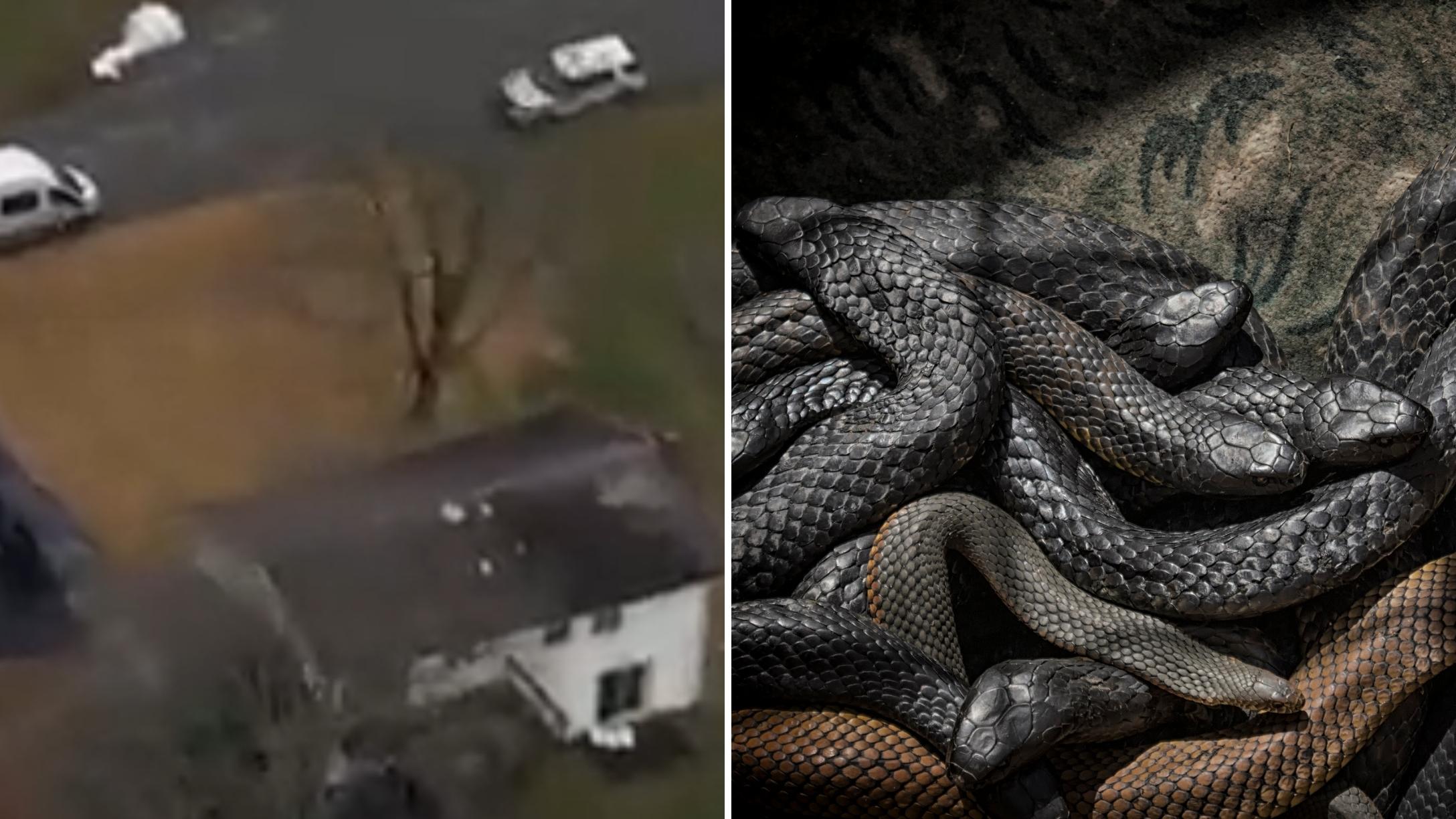 Authorities Discover Maryland Man Dead In His Home, Surrounded By Over ...