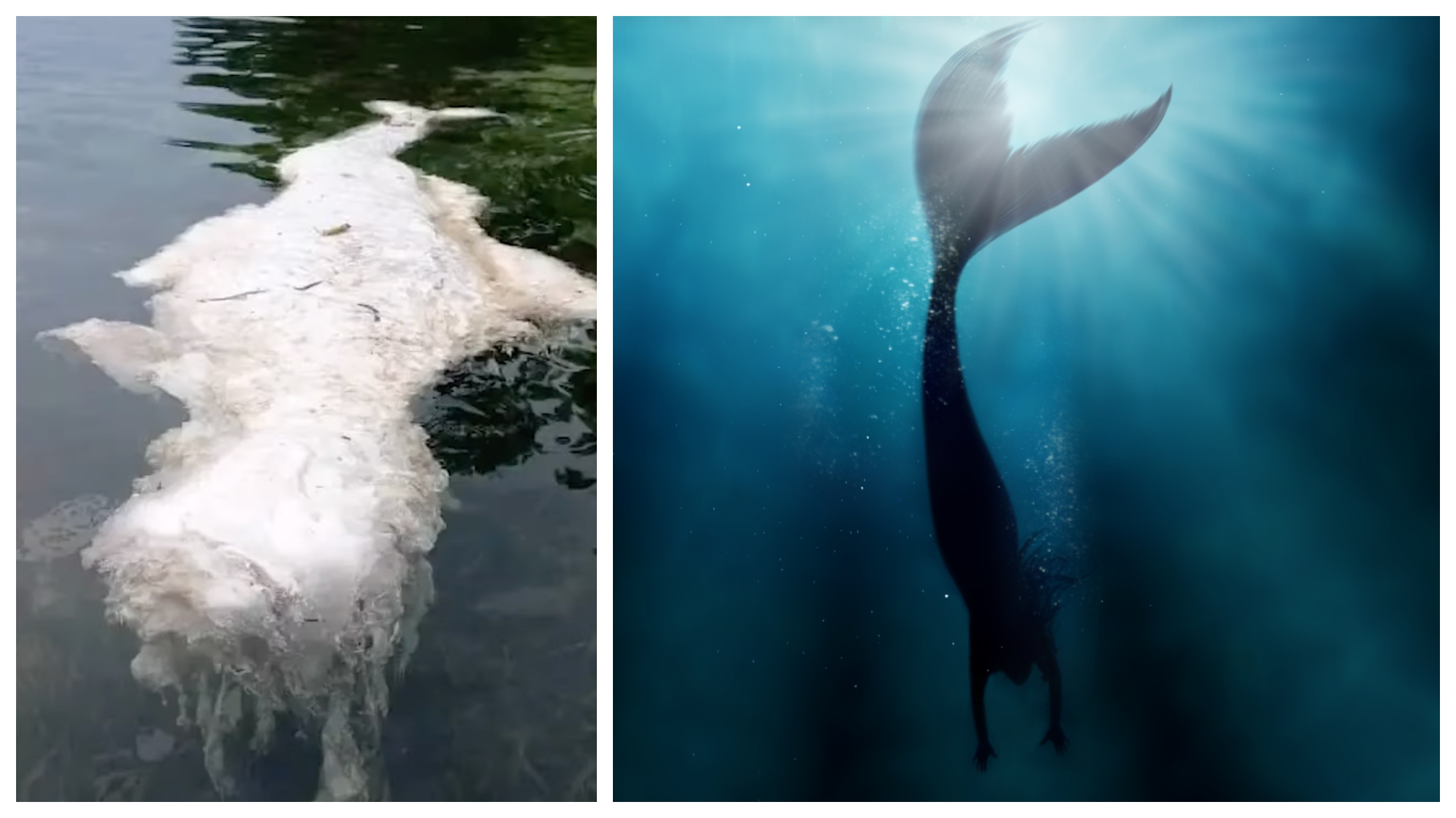 Experts Left Baffled By A Mysterious ‘Mermaid’ Creature Washed Ashore ...