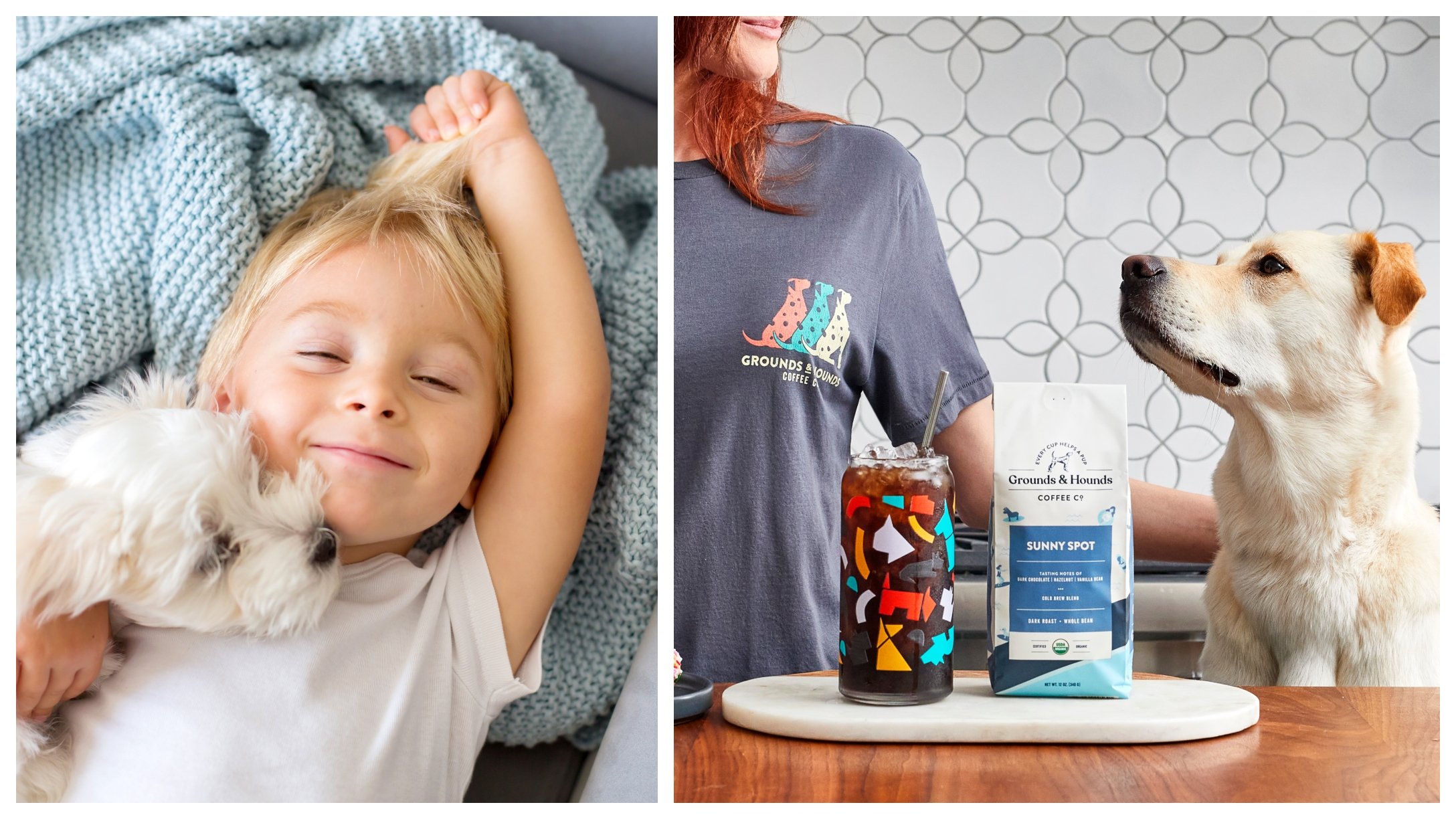 7 Great Companies That Help Animals In Need